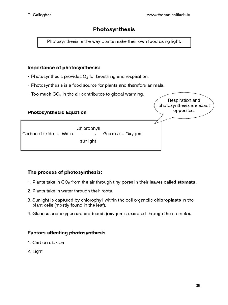 Understanding Photosynthesis Basics | PDF