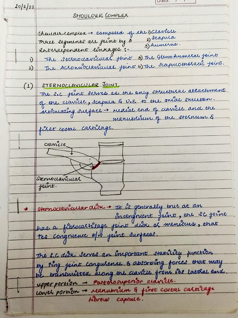 Shoulder Complex (4) | PDF