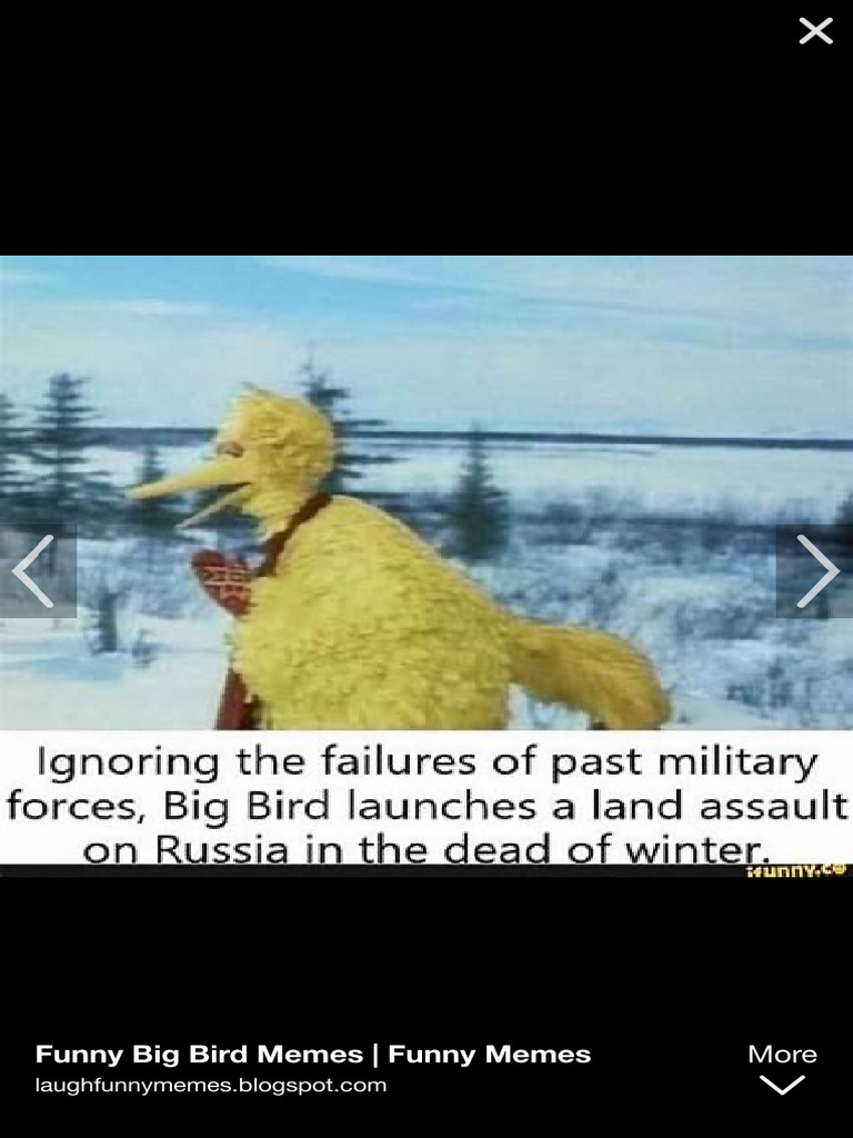 Funny Big Bird Memes Funny Memes | PDF