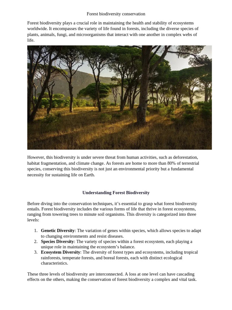 Forest Biodiversity Conservation Strategies | PDF | Biodiversity | Forests