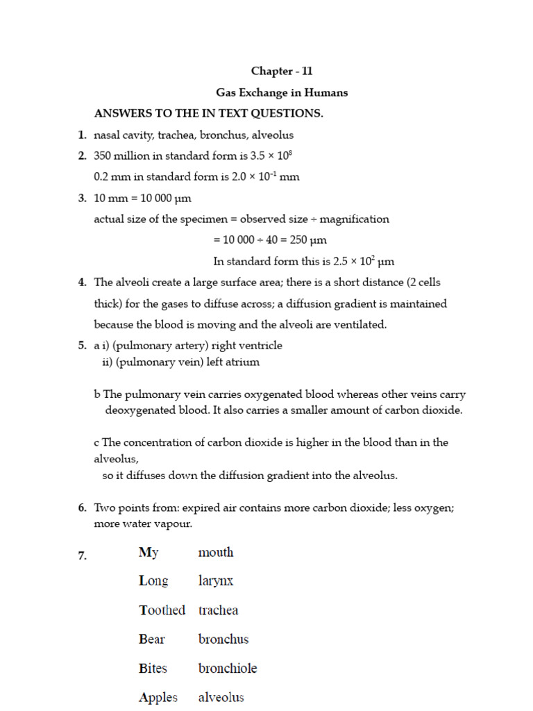 Gas Exchange in Humans Igcse Biology - Cambridge | PDF