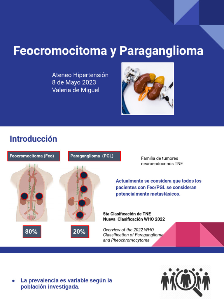 Feocromocitoma y Paraganglioma: Diagnóstico y Gestión | PDF ...