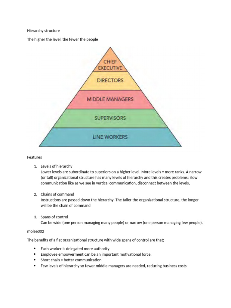 Hierarchy Structure (Bis) | PDF