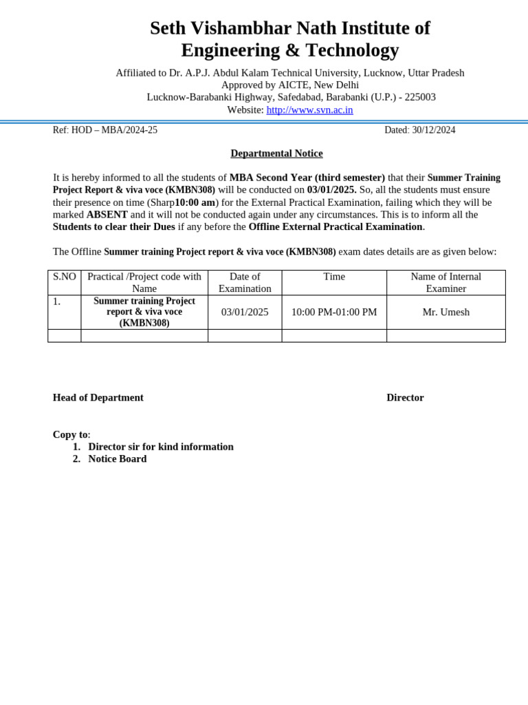 MBA 3rd Sem Summer Training Project Report & Viva Voce | PDF