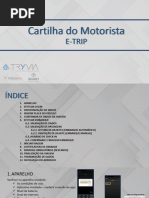 Manual Strada TIP - Novo Portal | PDF | Informática
