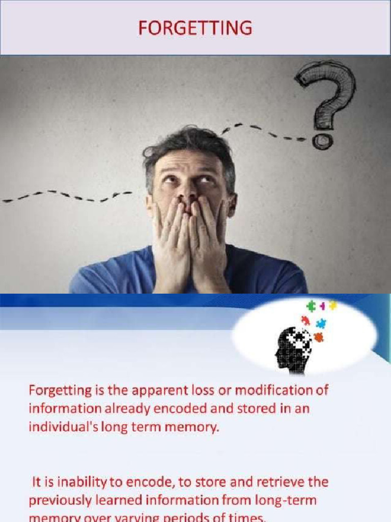 Human Memory | PDF
