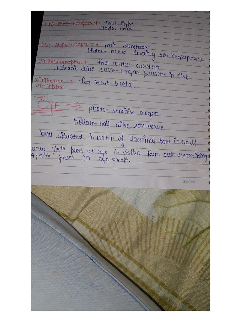 Image_to_PDF_20241129_101932 | PDF