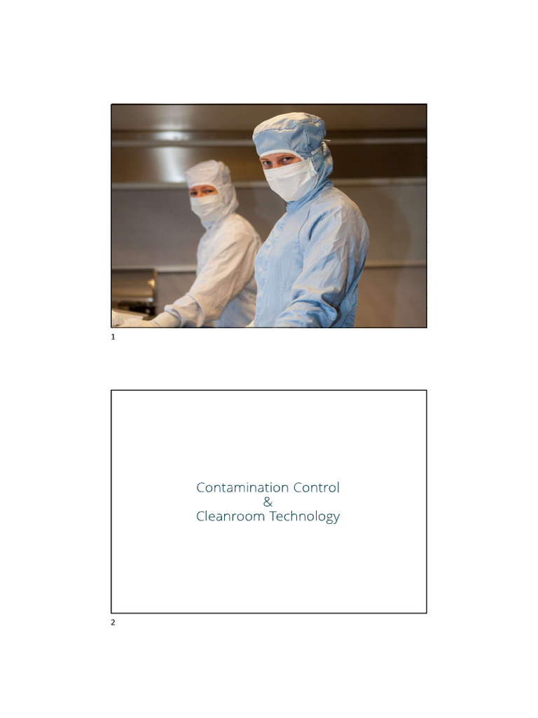 Hygienic Process | PDF