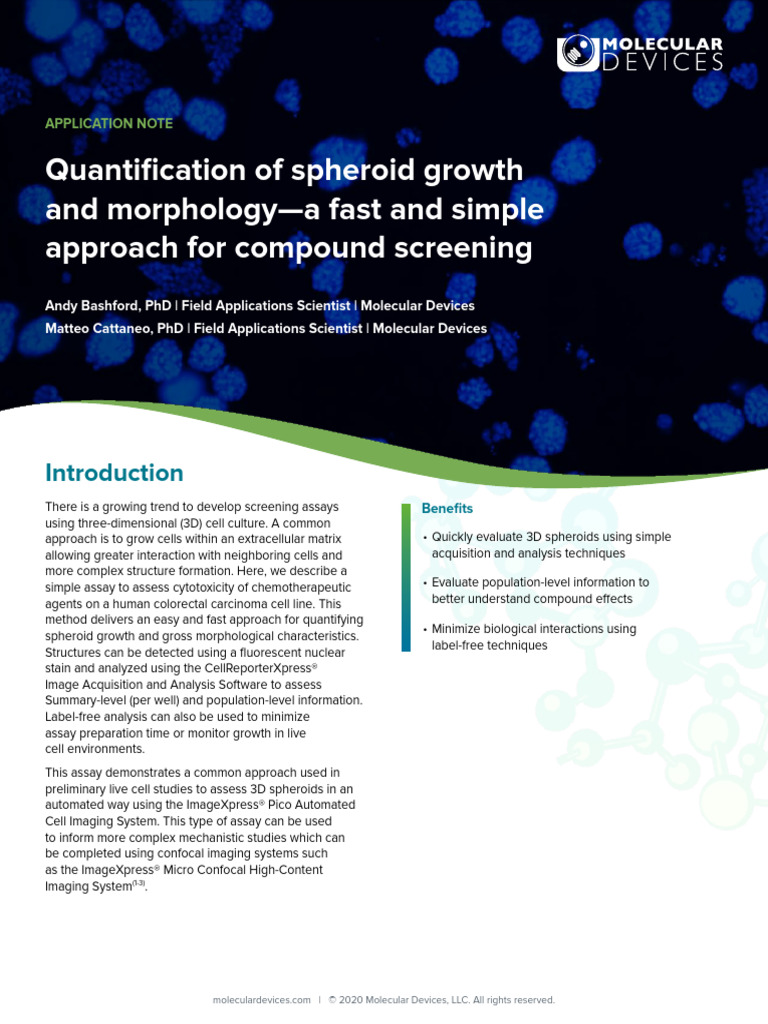 Spheroid Growth Quantification Assay | PDF