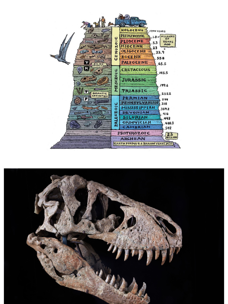 10 Interesting Facts About The Geological Time Scale | PDF