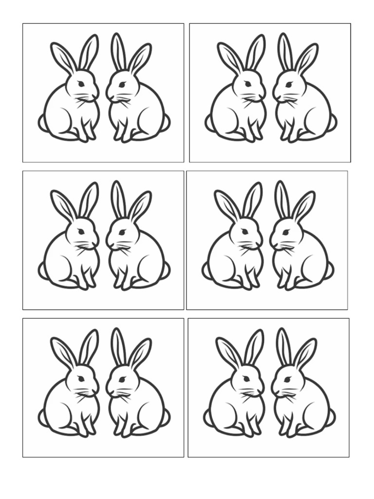 Rabbit | PDF