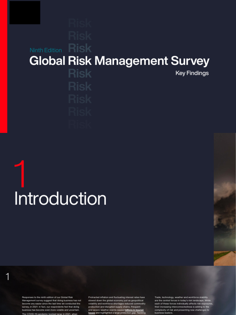 Global Risk Management Insights 2023 | PDF | Risk | Risk Management