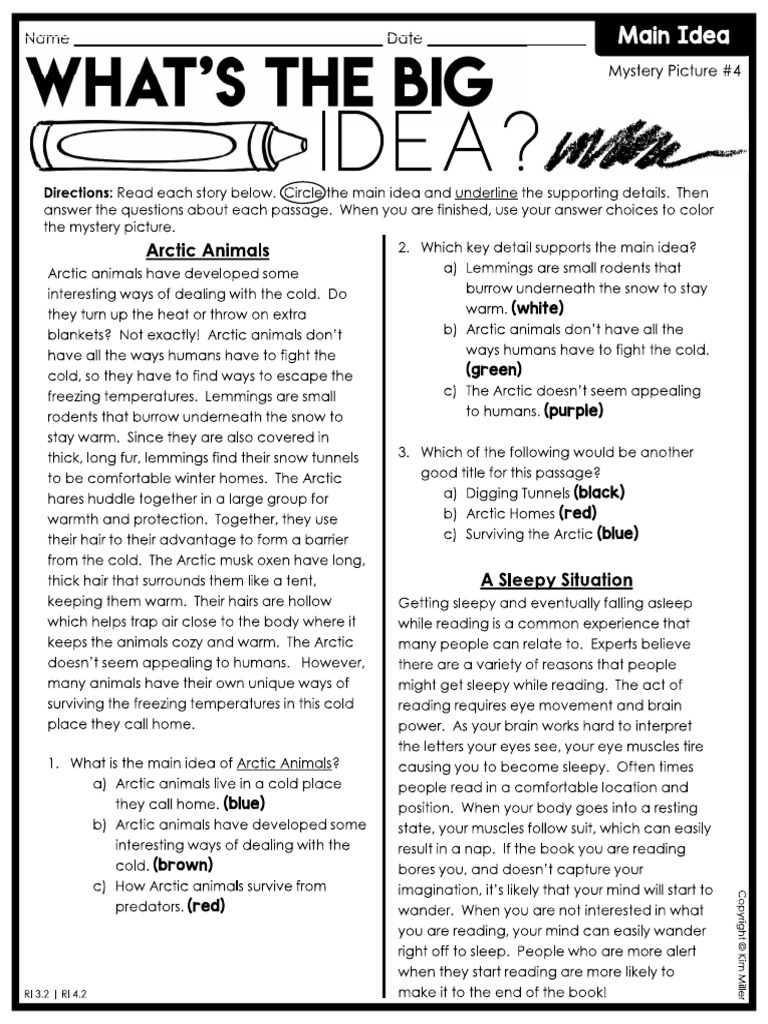 Mystery Pictures Main Idea Questions | PDF