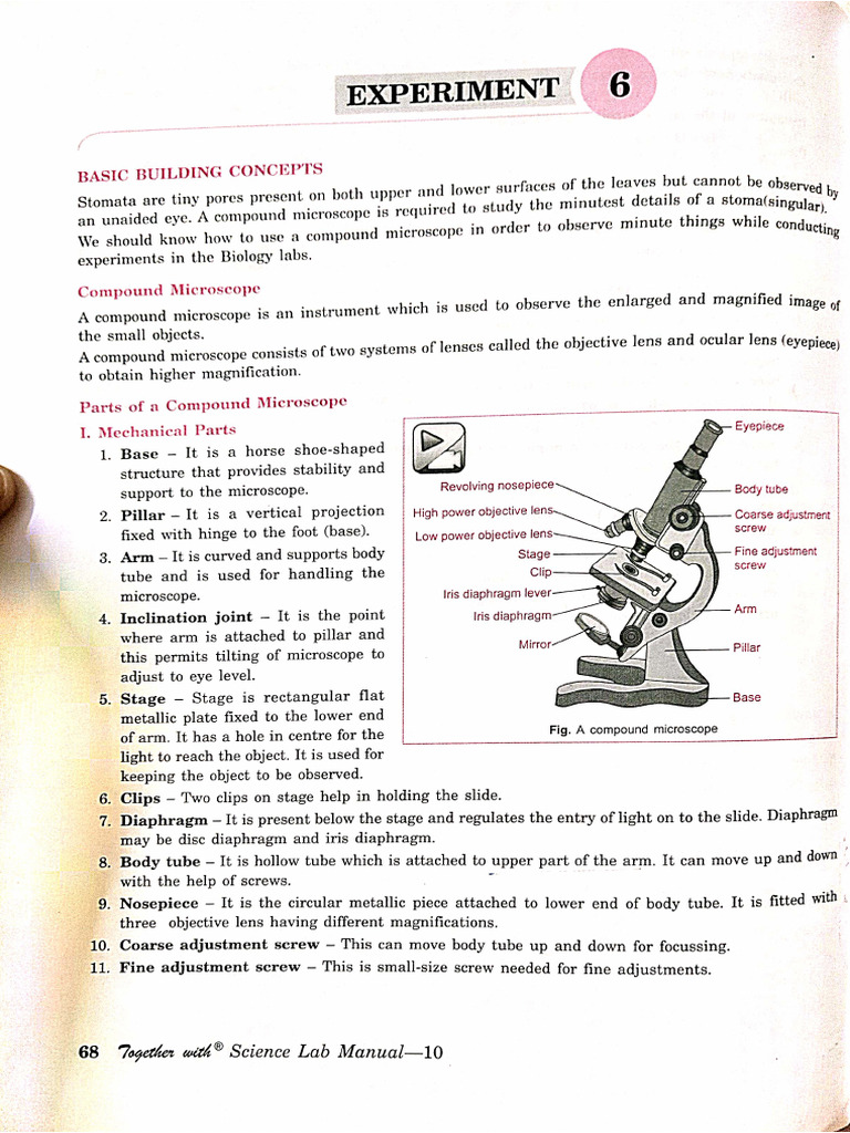 Biology Lab Manual | PDF