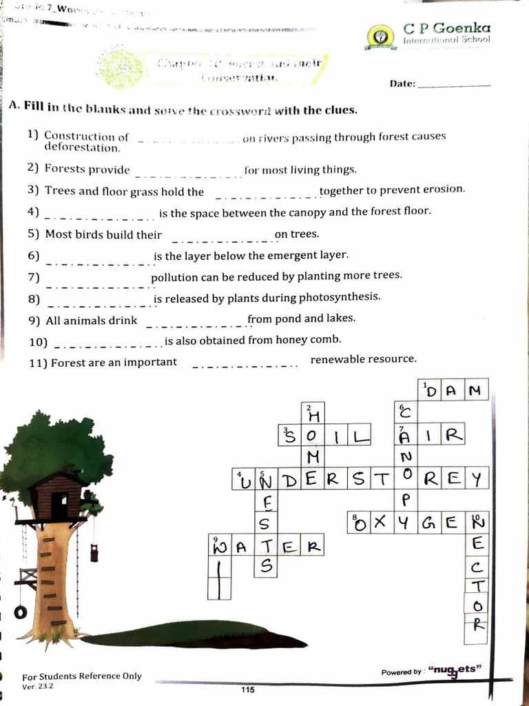 Forest and Their Conservation | PDF | Food Web | Rainforest