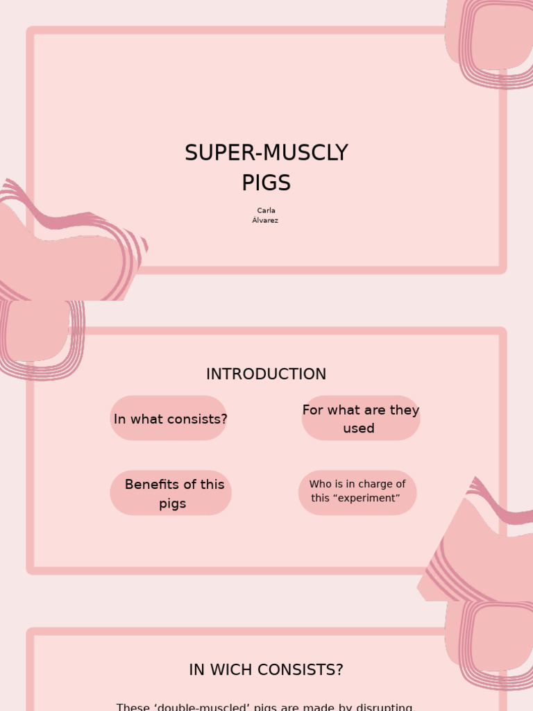 Muscly-Pigs. Carla Álvarez 4°A | PDF