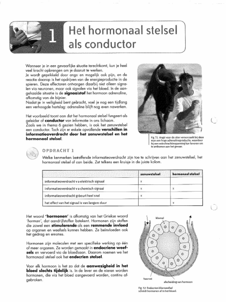Biogenie3-Thema7-hormonaal-stelsel-ingevuld | PDF