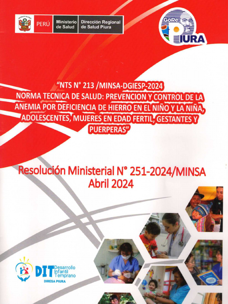 Nts Nº213 Minsa Aprobado Con Rm Nº251-2024 Mes Abril 2024 - Esans (1) | PDF