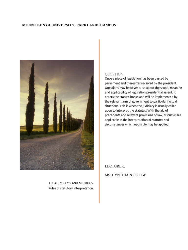 The Rules of Statutory Interpretation Group Work - 1 | PDF | Statutory ...