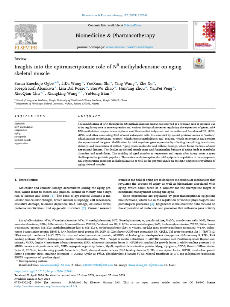 m6A Methylation in Aging Muscle Health | PDF | Rna | Skeletal Muscle