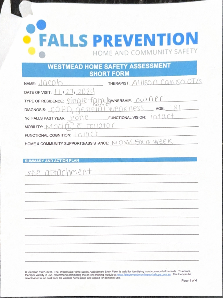 Falls Prevention | PDF