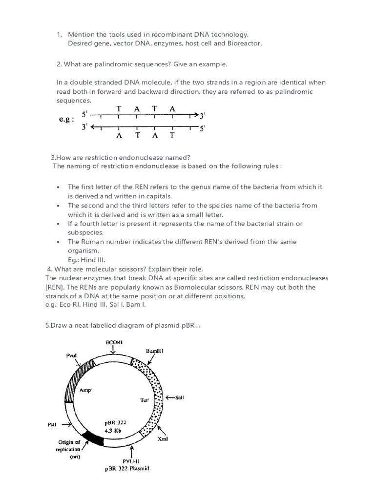 Recombinant DNA Tools and Concepts | PDF