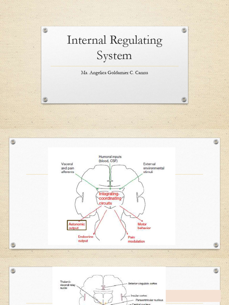 Internal Regulation System Overview | PDF | Autonomic Nervous System ...