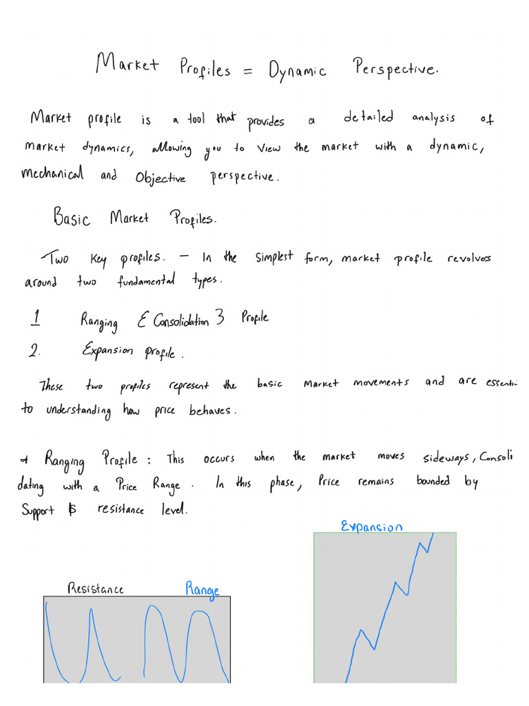 Market Profiles Dynamic Perspective. | PDF