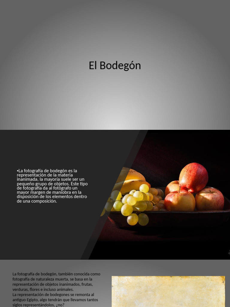 Guía para Fotografía de Bodegón | PDF | Naturaleza muerta | Artes visuales