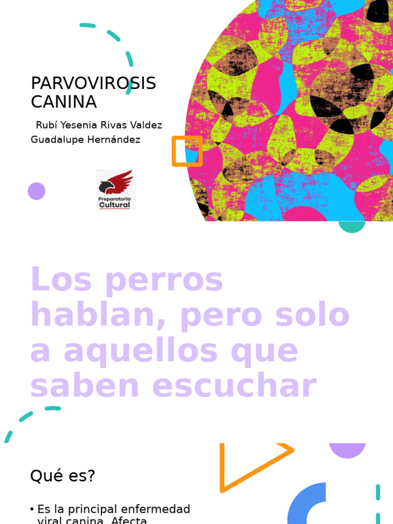 Parvovirosis Canina | PDF