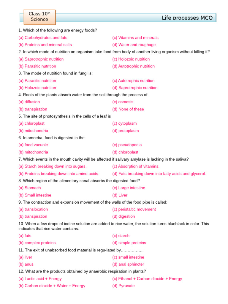 Life Processes MCQ | PDF | Digestion | Nutrition