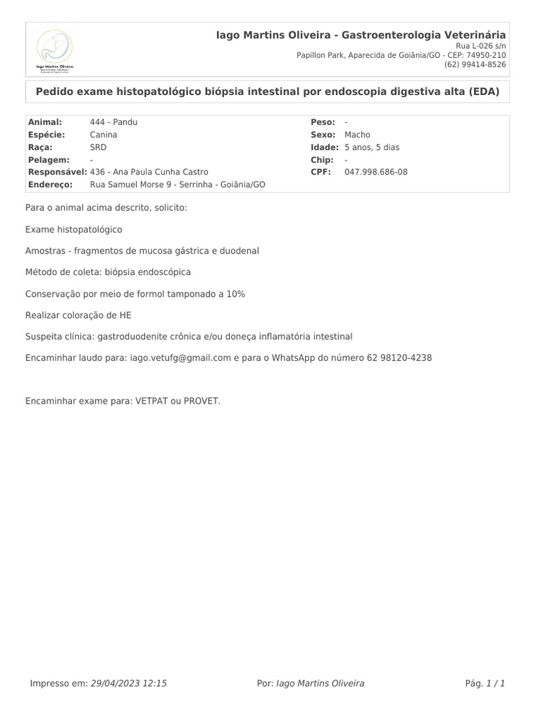 Pedido Exame Histopatológico Biópsia Intestinal Por Endoscopia ...