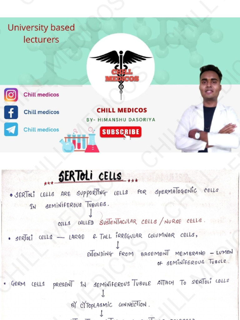 Reproductive System Physiology | PDF