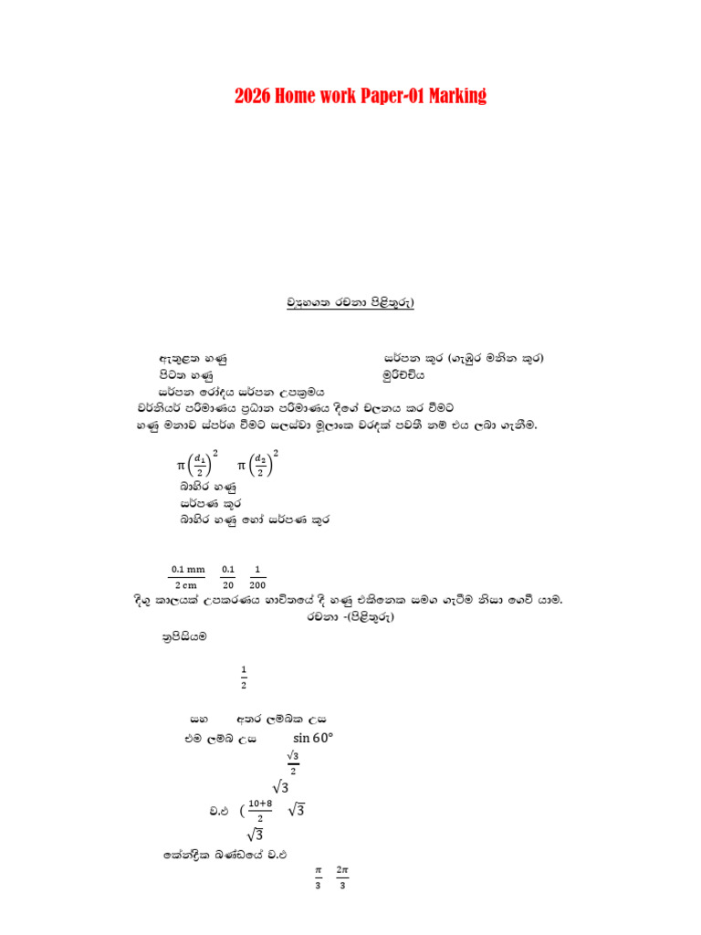 2026 Homework Paper Marking Guide | PDF