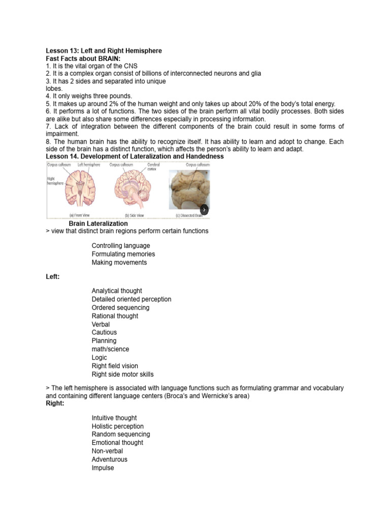 Physio Bio Reviewer (Last) | PDF | Major Depressive Disorder | Mental ...