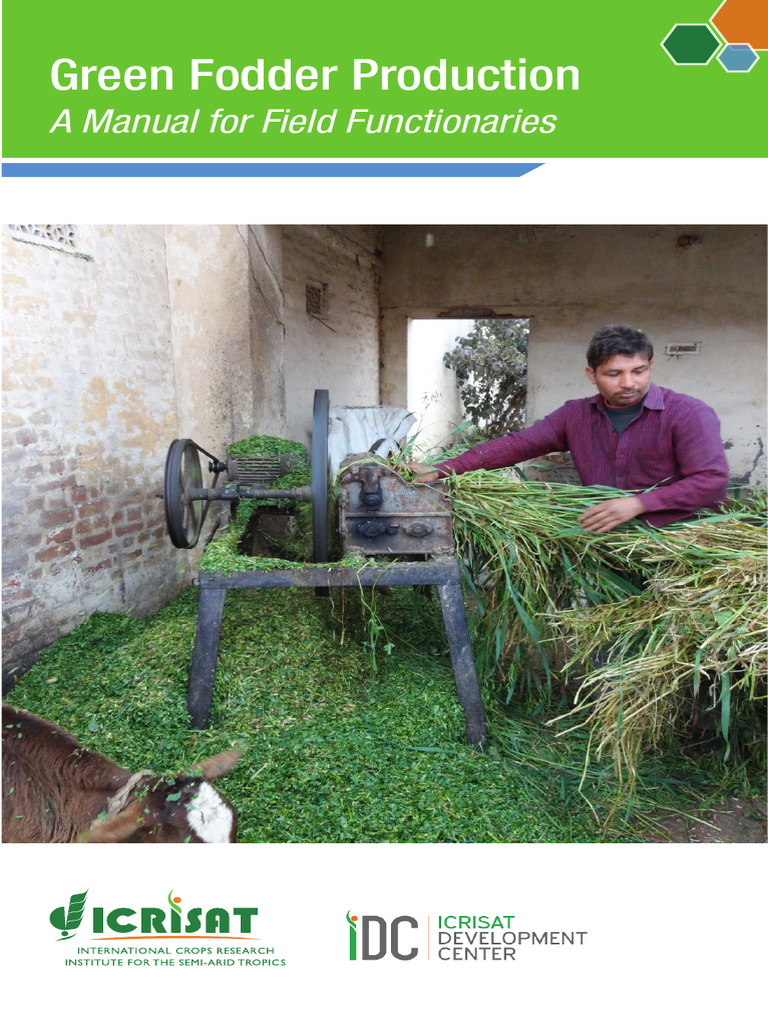 Final Green Fodder Production Booklet | PDF | Legume | Alfalfa