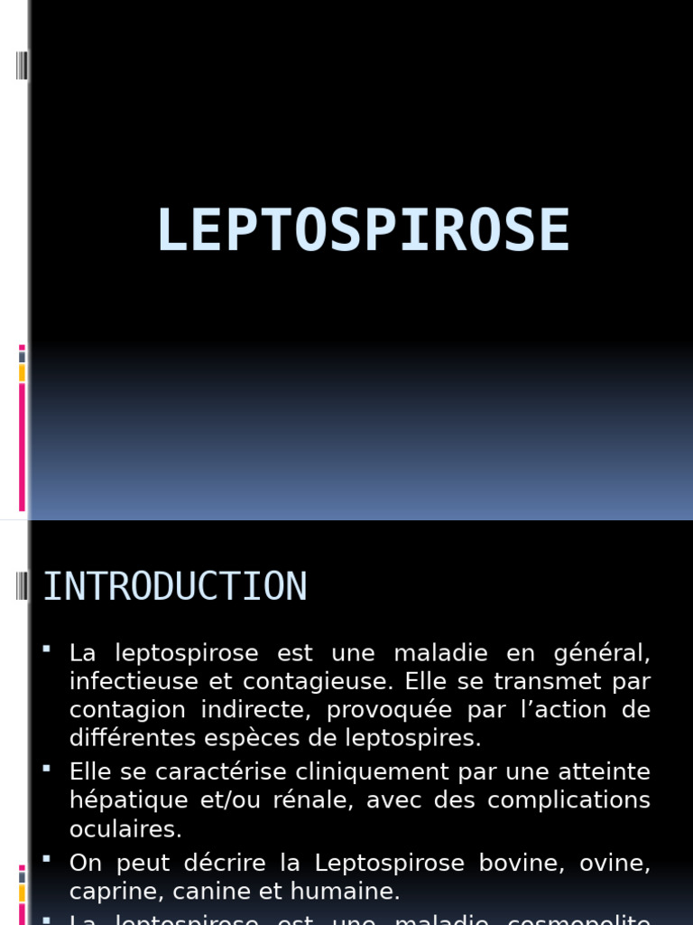 LEPTOSPIROSE | PDF | Immunologie | Médecine clinique