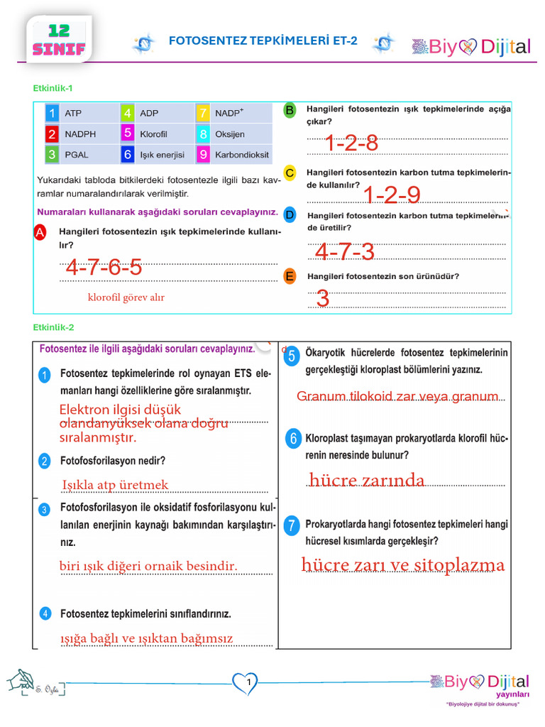 Fotosentez Et_2 Cvp | PDF