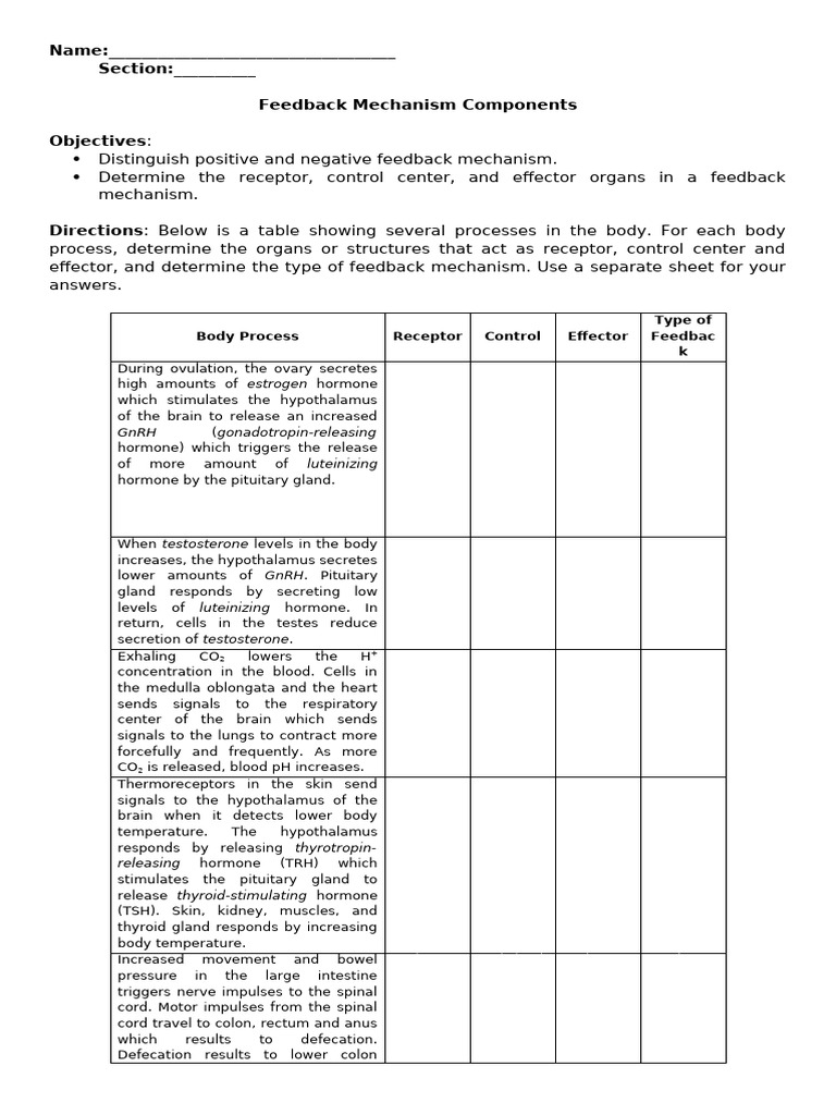 Feedback Mechanism Components Explained | PDF | Hypothalamus | Thyroid ...