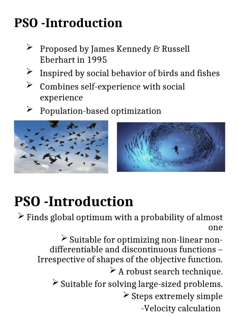 PSO - Introduction | PDF | Mathematical Optimization | Numerical Analysis