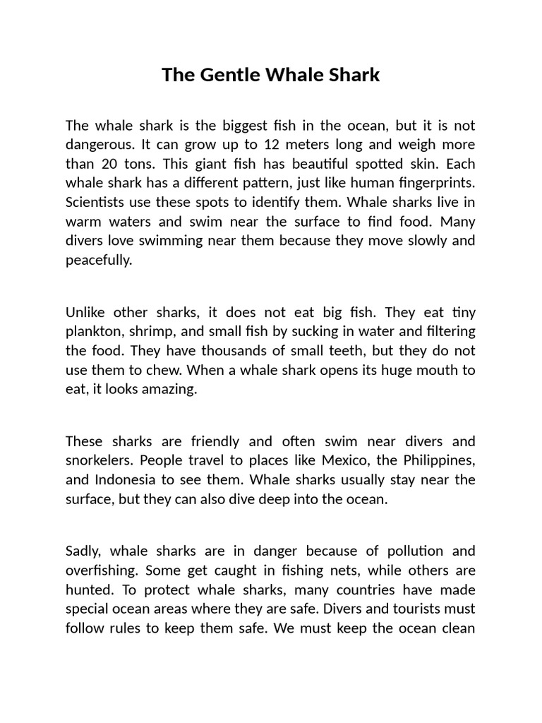 Story Telling The Gentle Whale Shark | PDF