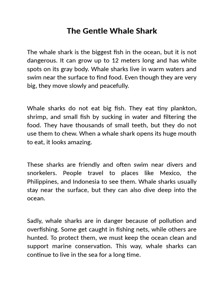 Story Telling The Gentle Whale Shark | PDF