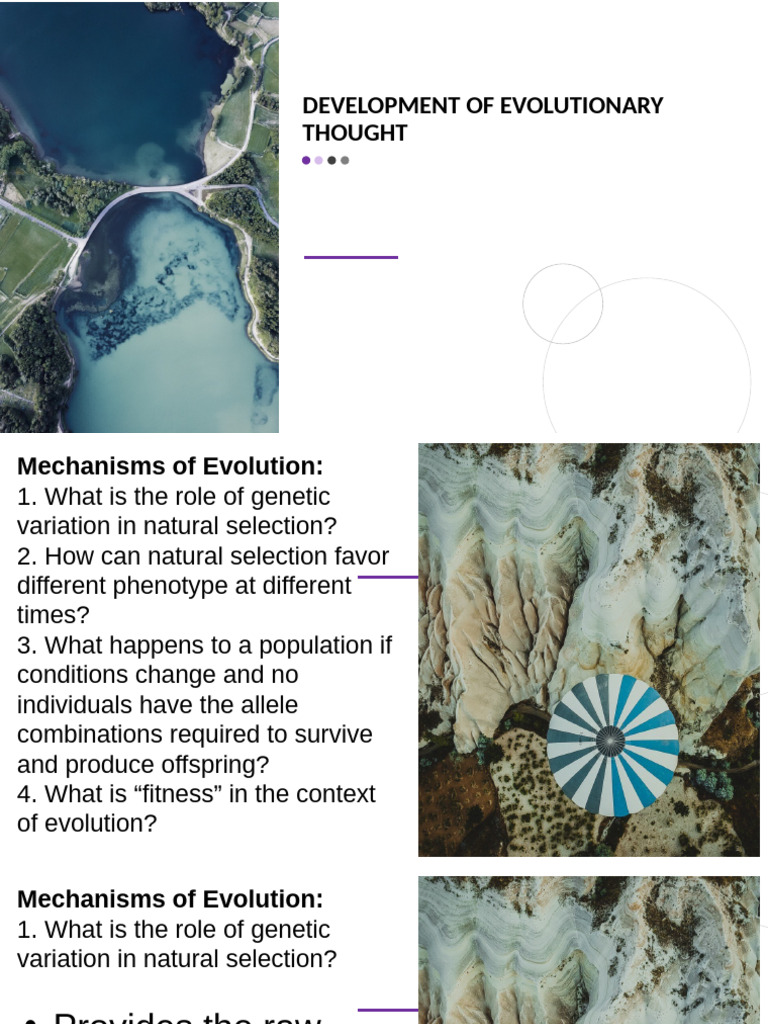 Mechanisms of Evolution Explained | PDF | Natural Selection | Evolution