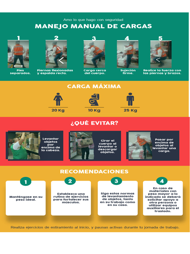 Poster Manejo Manual de Cargas | PDF
