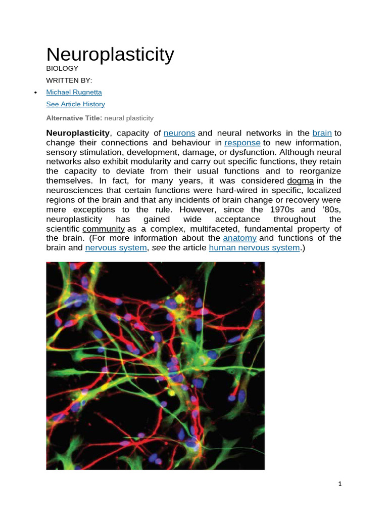 Neuro Plasticity | PDF | Neuroplasticity | Brain