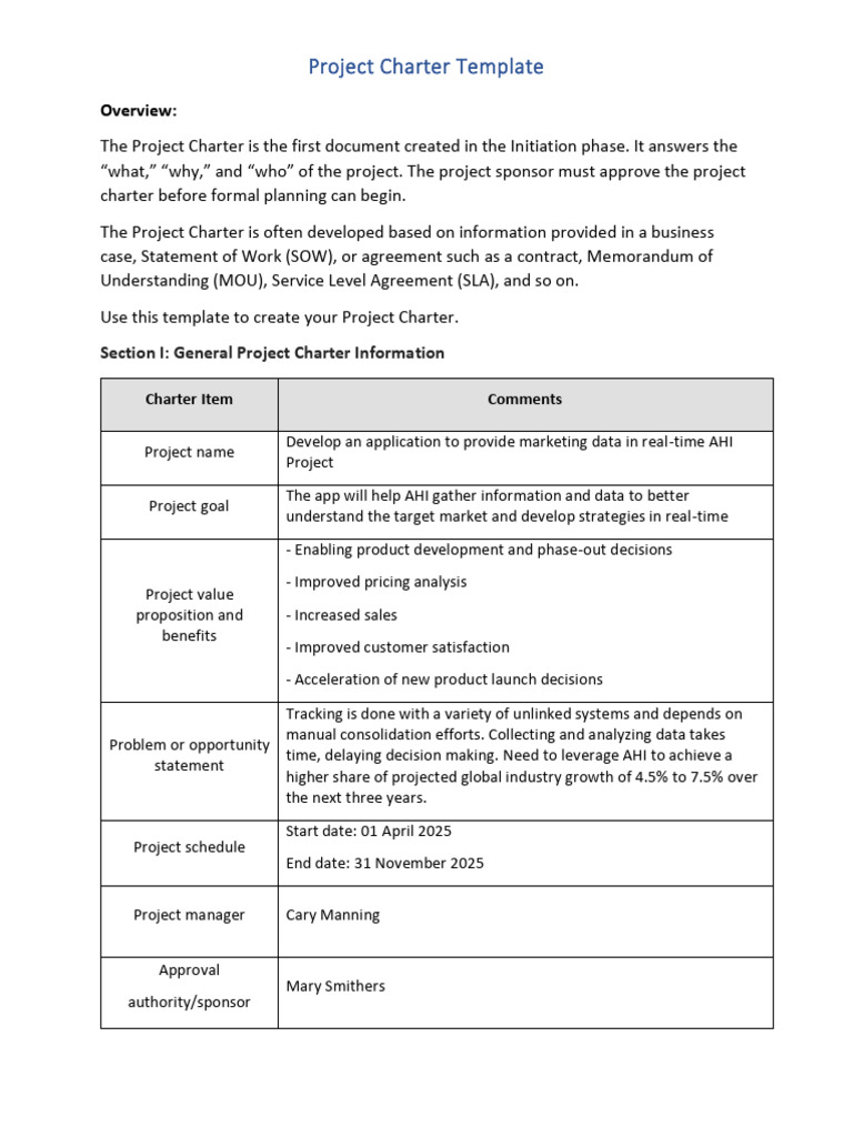 Project Charter Template for App Development | PDF | Return On ...