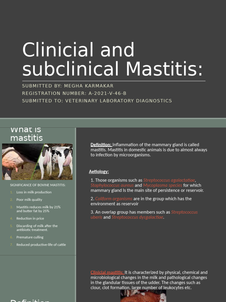 Clinicial and Subclinical Mastitis | PDF | Milk | Immunology