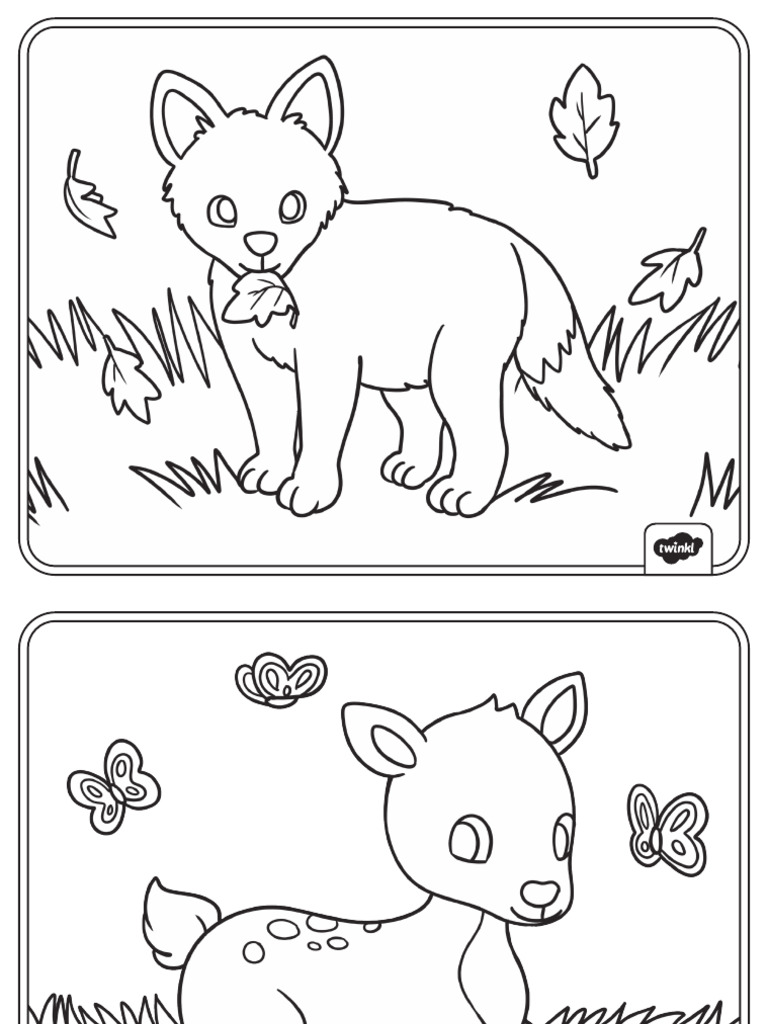 baby-animals-coloring-sheets | PDF