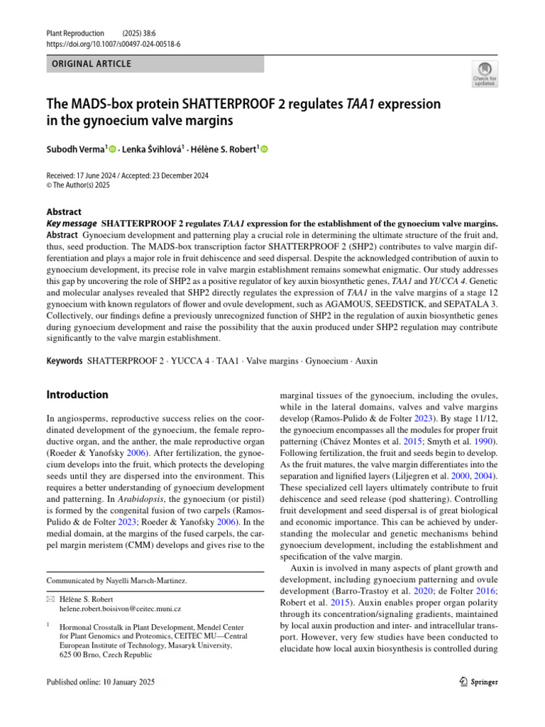 SHATTERPROOF 2 Regulates TAA1 in Gynoecium | PDF | Auxin | Gene Expression