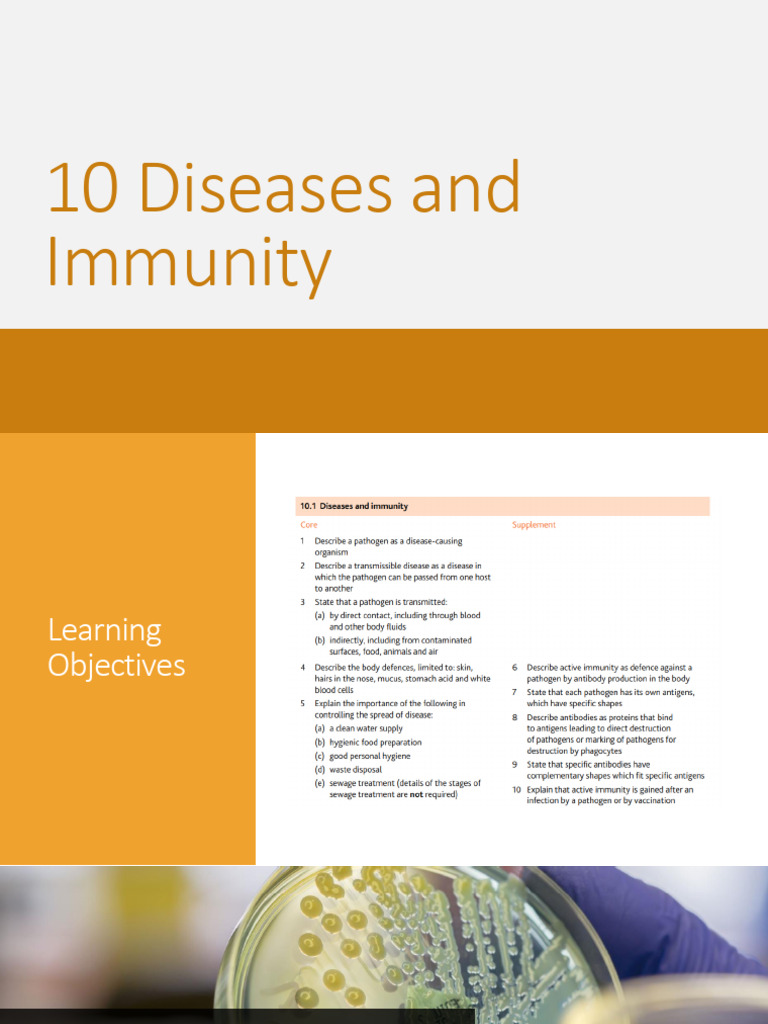 10 Diseases and Immunity | PDF | Antibody | Immune System